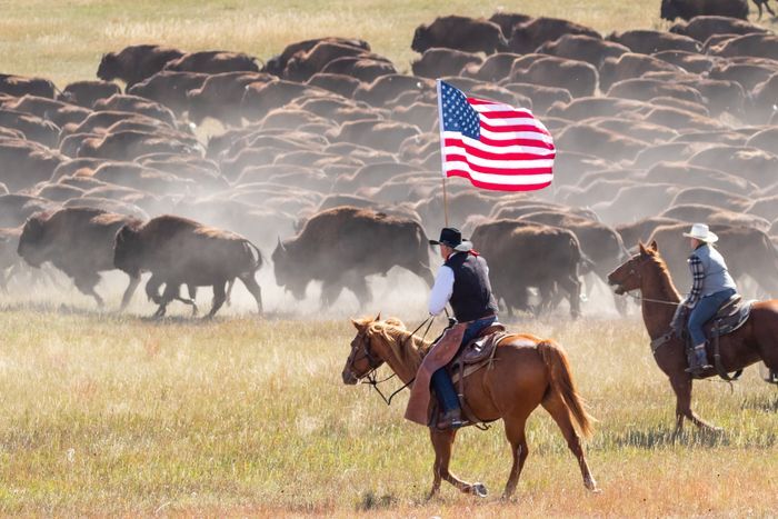 Buffalo Roundup Getaway | Win a Custer Park Adventure